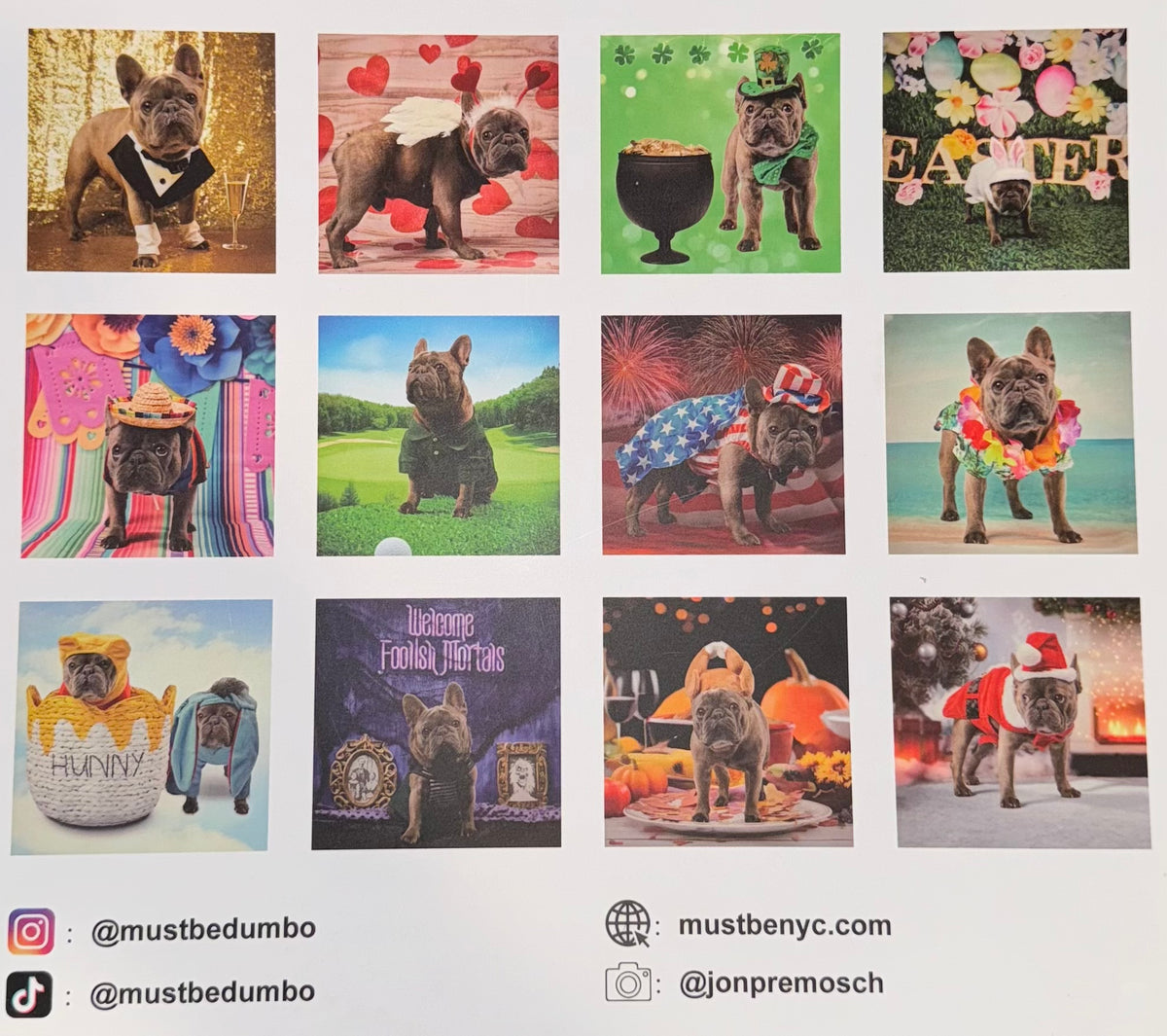 Year Of The Frenchie Calendar – MBN LLC